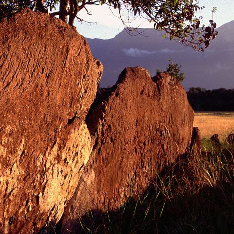 Parque Nacional Duida-Marahuaca - Parque nacional en estado Amazonas ...