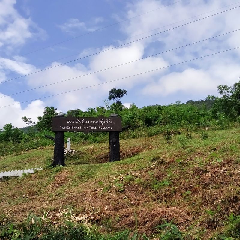 Tanintharyi Nature Reserve - Protected tropical rainforest in ...