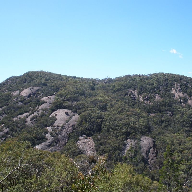Burrowa - Pine Mountain National Park - Réserve naturelle dans le Shire ...