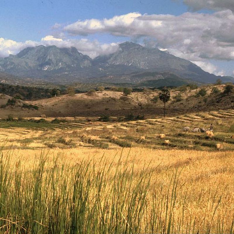 Matebian - Cume montanhoso na região de Baucau, Timor-Leste