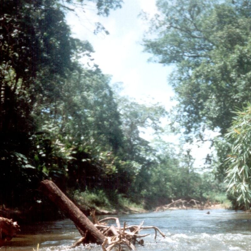 Río Plátano Biosphere Reserve - Nature reserve in La Mosquitia region ...