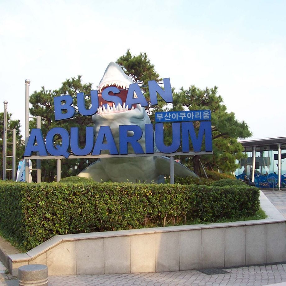 Marine City, Busan - Complexe résidentiel dans le district Haeundae ...