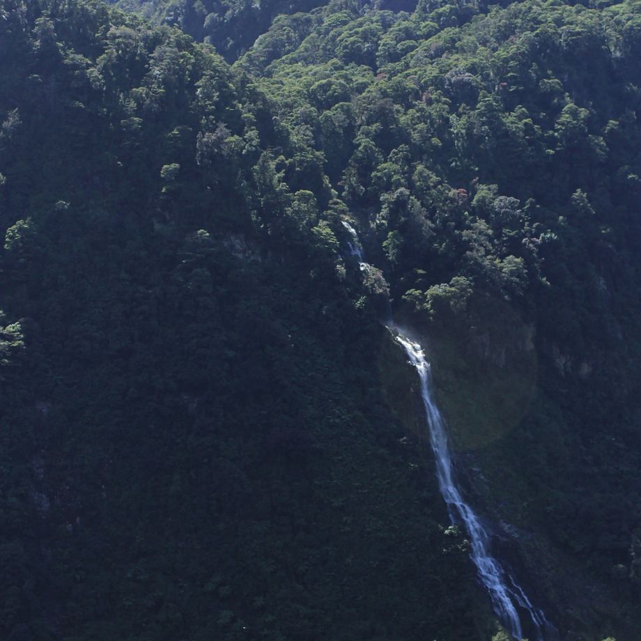 Fiordland National Park - Parc national dans l'Île du Sud, Nouvelle-Zélande