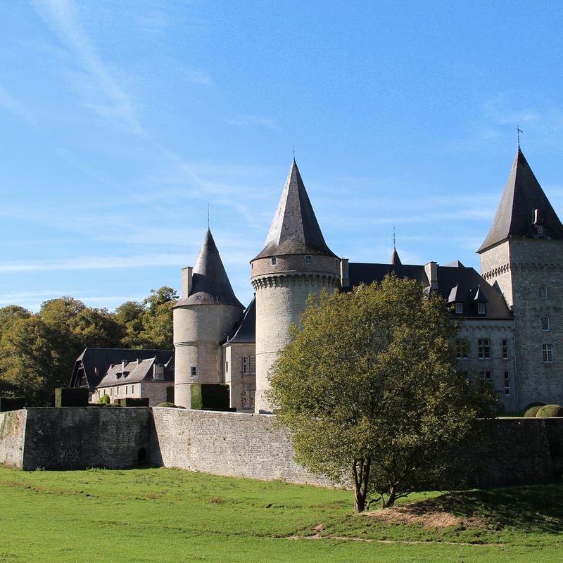 Château de Fontaine - Château médiéval à Anthée, Belgique